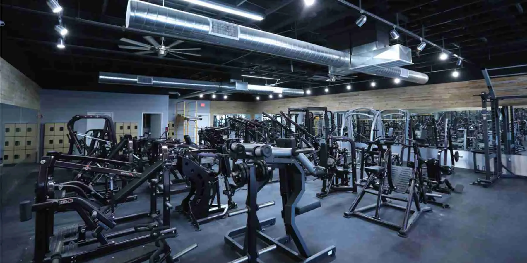 Best Bodybuilding Gyms In Las Vegas – Barbells Abroad