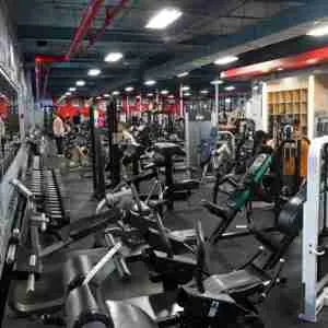 Best Bodybuilding Gyms In The USA – Barbells Abroad