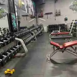 22 BEST Bodybuilding Gyms In The USA - Hidden Gems [2023]
