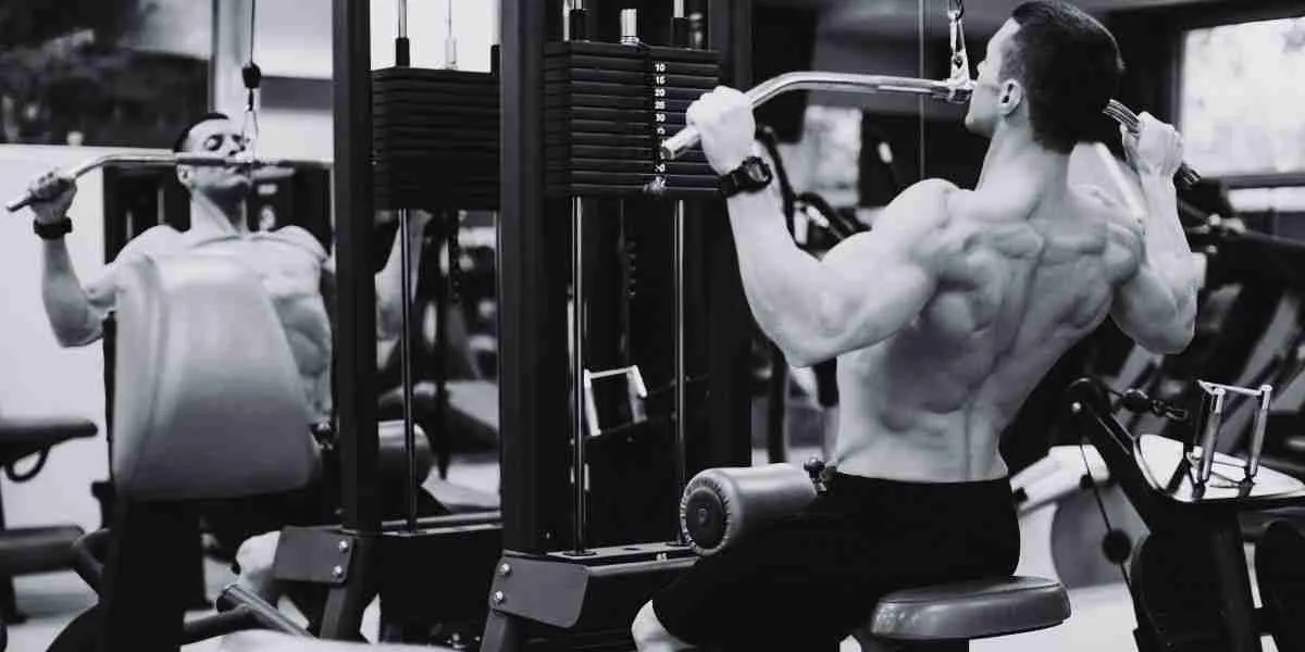 The Best Back Machines At The Gym - For Every Lifter
