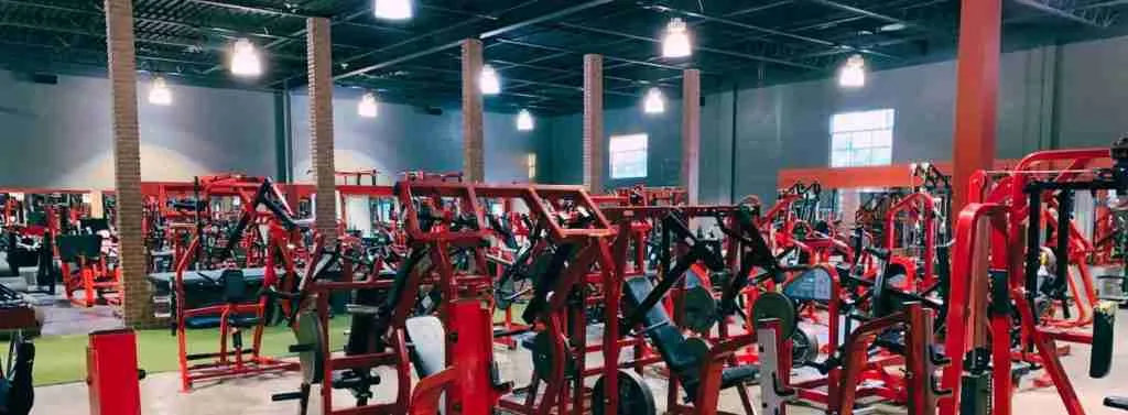 Best Bodybuilding Gyms In Florida | Tampa, Miami & More