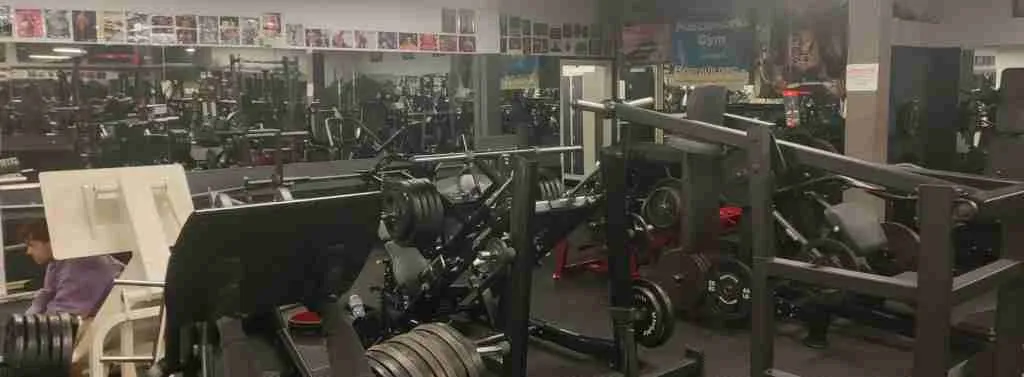 Stay Fit While Travelling | Barbells Abroad