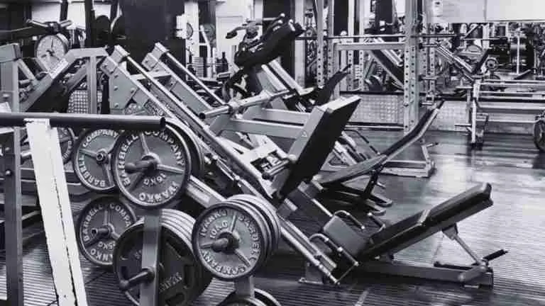 Best Chest Machines At The Gym – Barbells Abroad