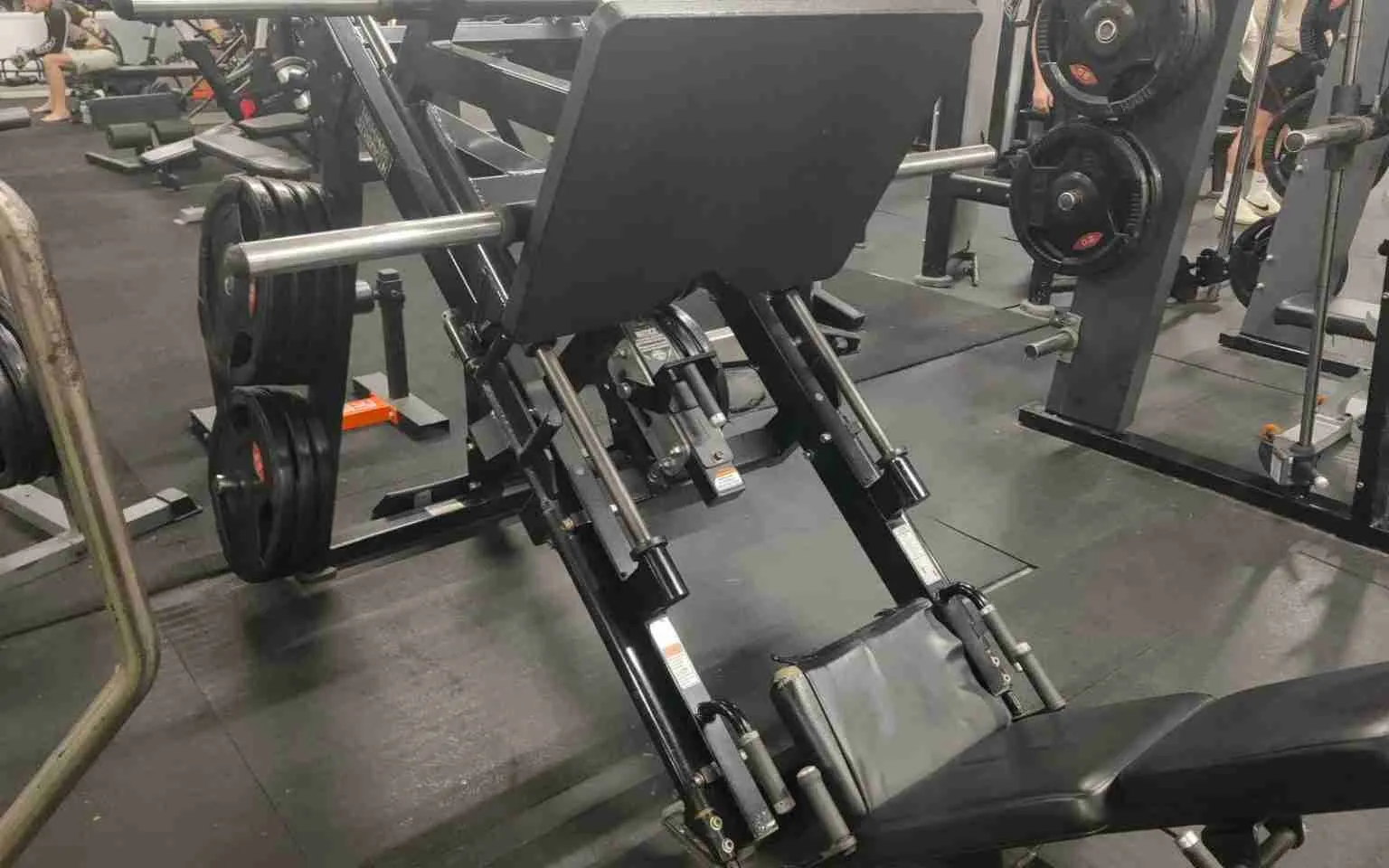 Best Leg Press Machines - Expert Reviews